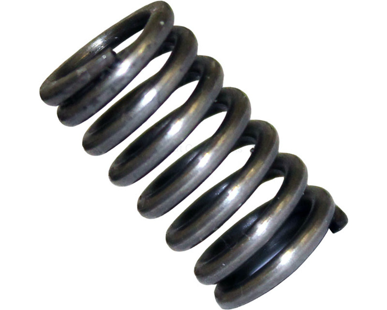 Aftermarket Wet Clutch Spring – Zip North